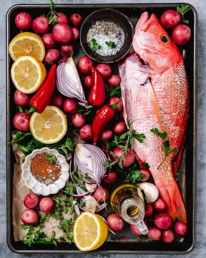 The Best Snapper Recipes in 2025