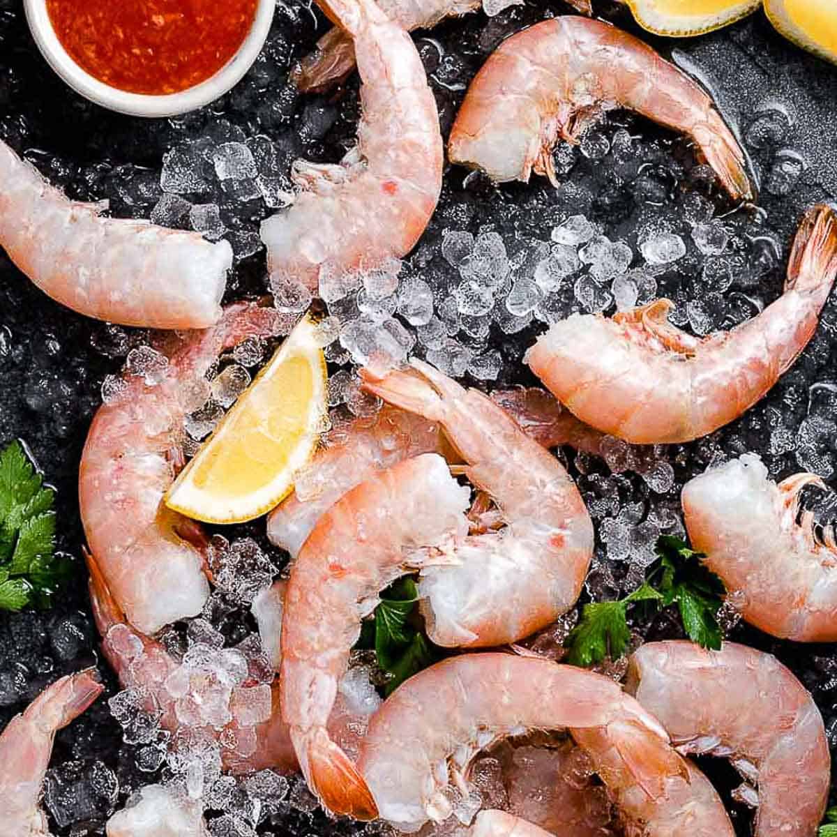 Key West Pink Shrimp Recipes