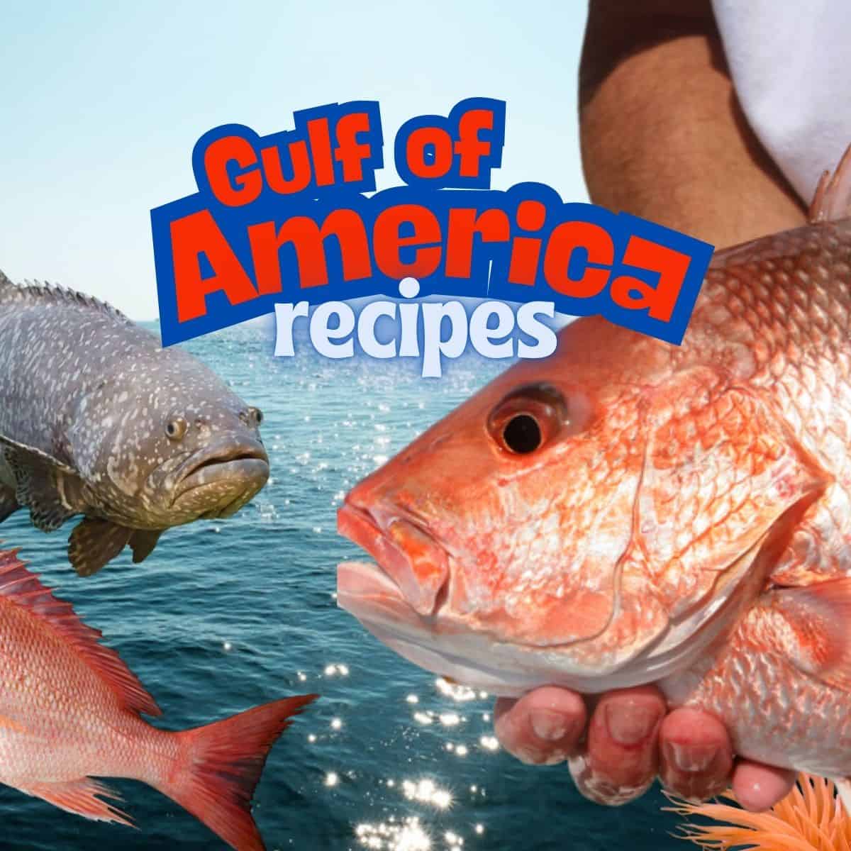 17 Best Gulf of America Recipes: Fresh Seafood From Florida