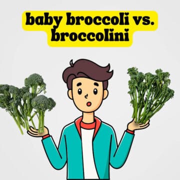 Baby Broccoli vs Broccolini: What's the Difference?