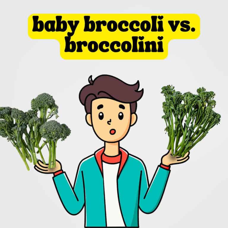 Baby Broccoli vs Broccolini: What's the Difference?
