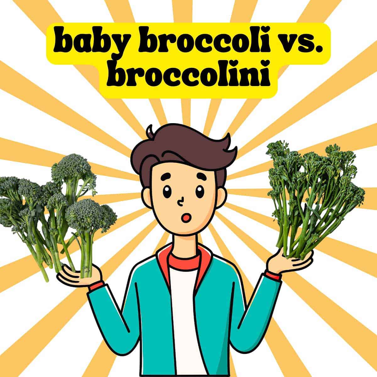 Baby Broccoli vs Broccolini: What's the Difference?