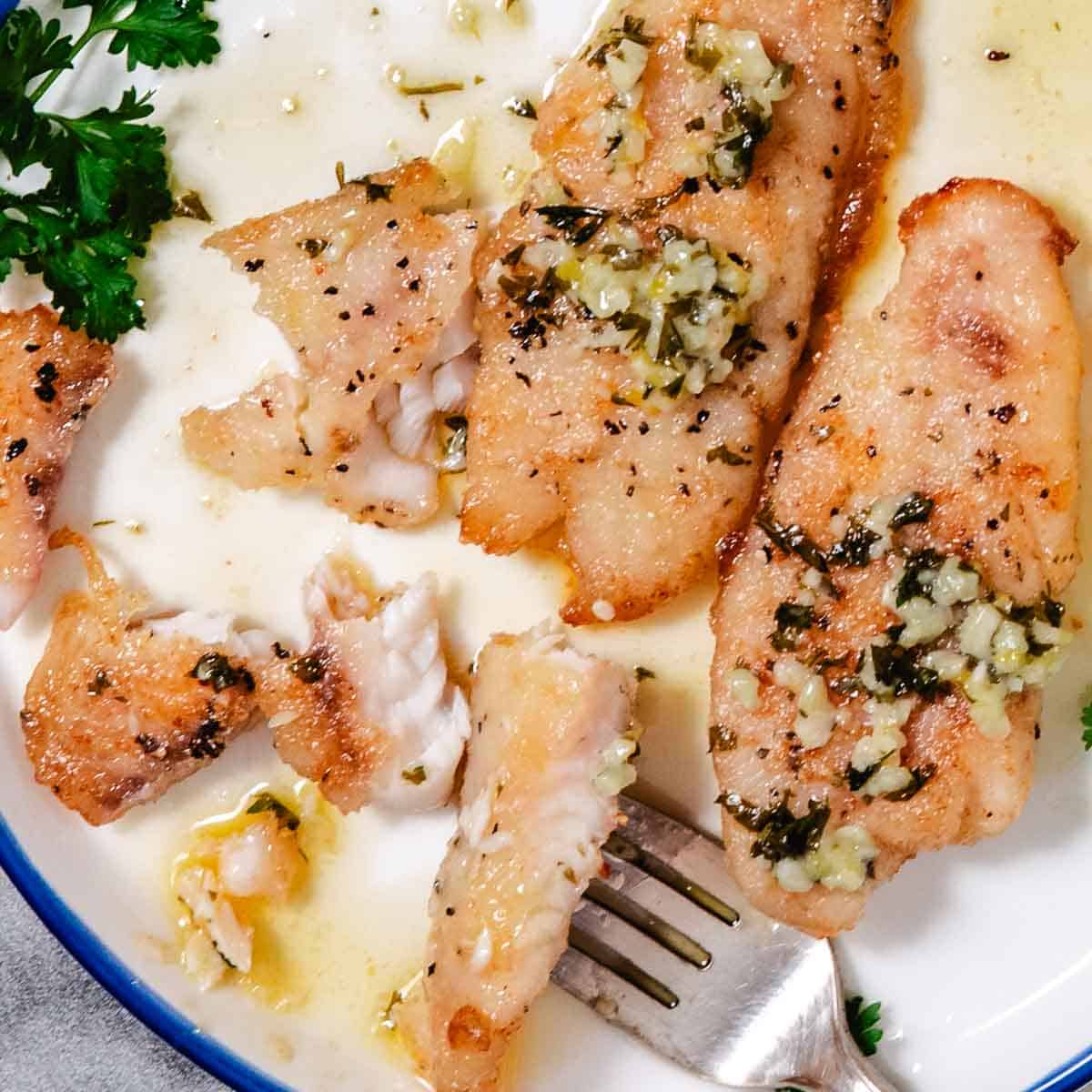 What to Cook in the Florida Keys: Easy Seafood Recipes